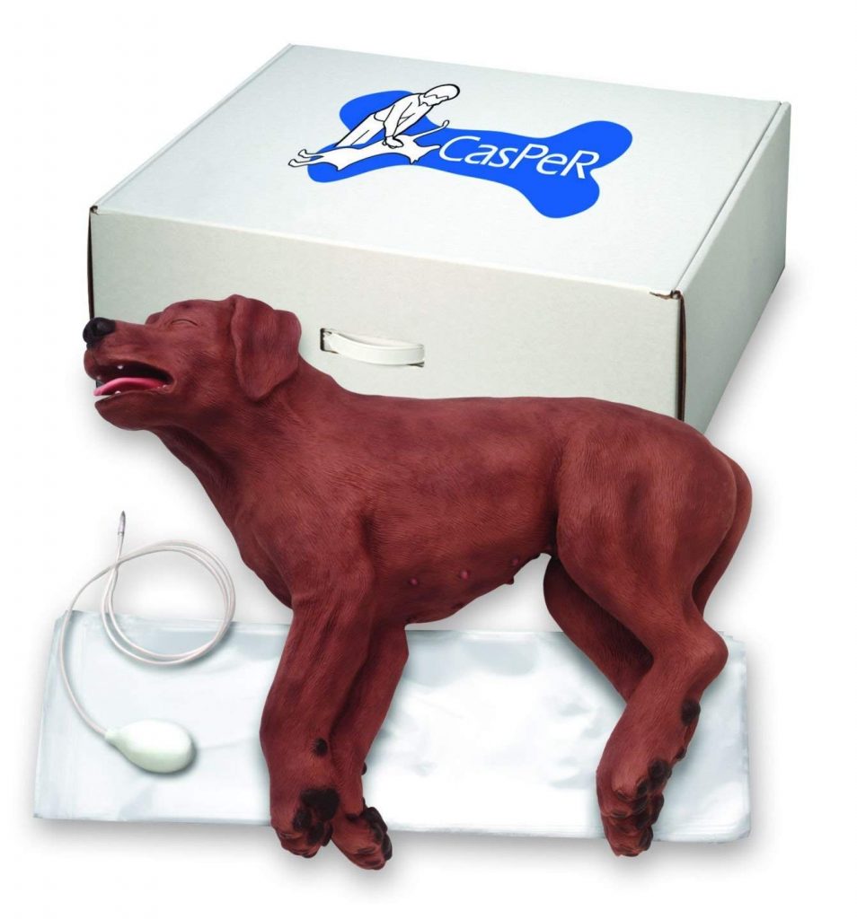 CasPeR Canine CPR Mannequin – Pet Emergency Education