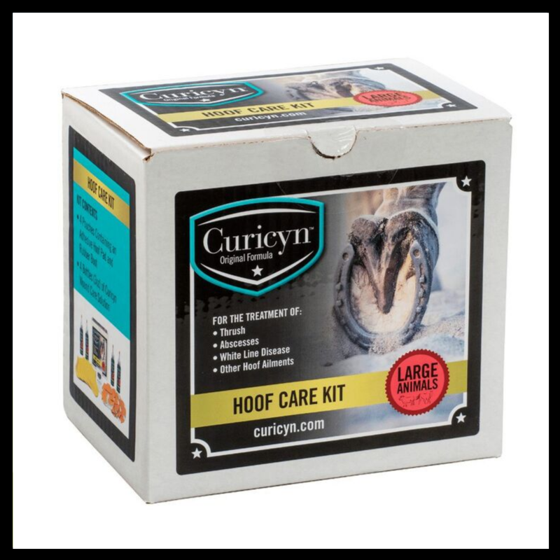 Hoof Care Kit for Horses – Pet Emergency Education