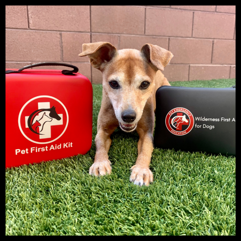 Purchase Pet First Aid Kits and Supplies – Pet Emergency Education