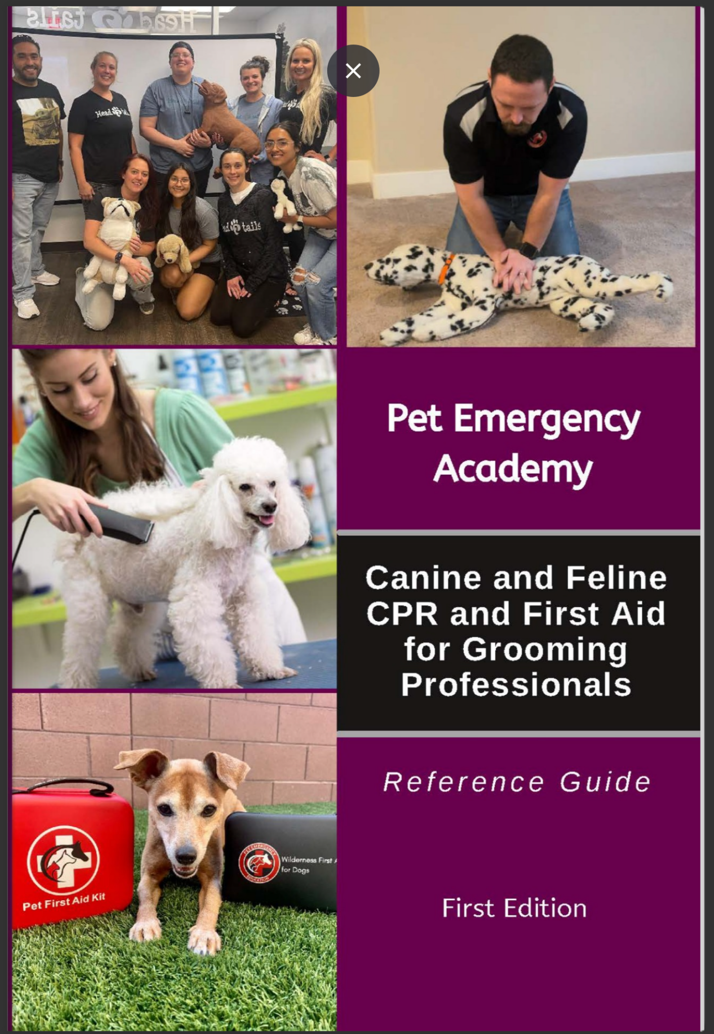 Canine and Feline CPR and First Aid for Grooming Professionals ...