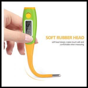 Equine Thermometer – Pet Emergency Education