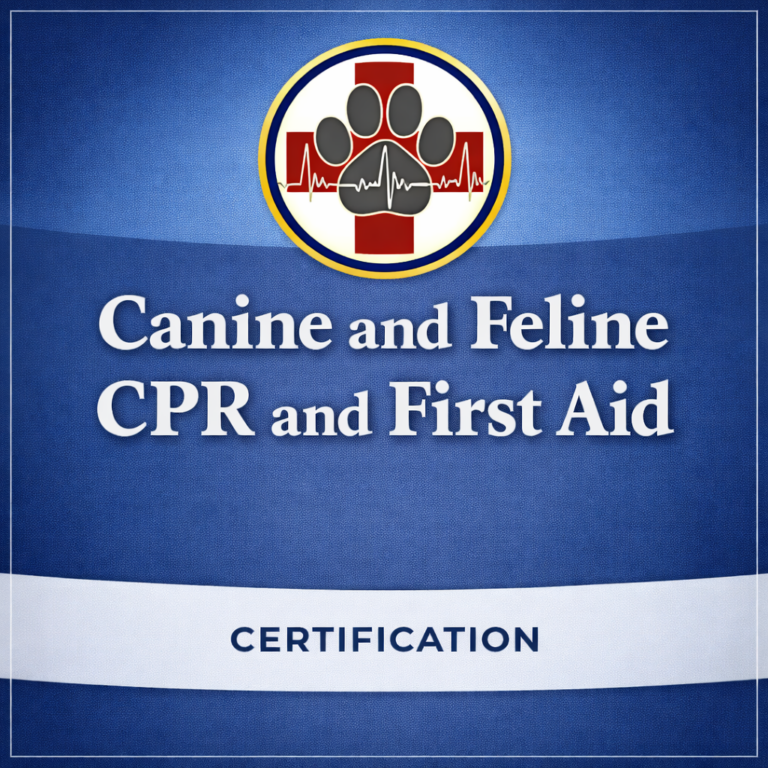 Canine and Feline CPR and First Aid Virtual Live Certification Class ...
