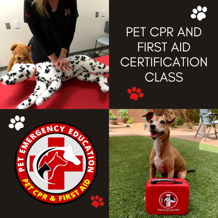 11/14/25 8-11am Canine and Feline CPR and First Aid Certification Class ...